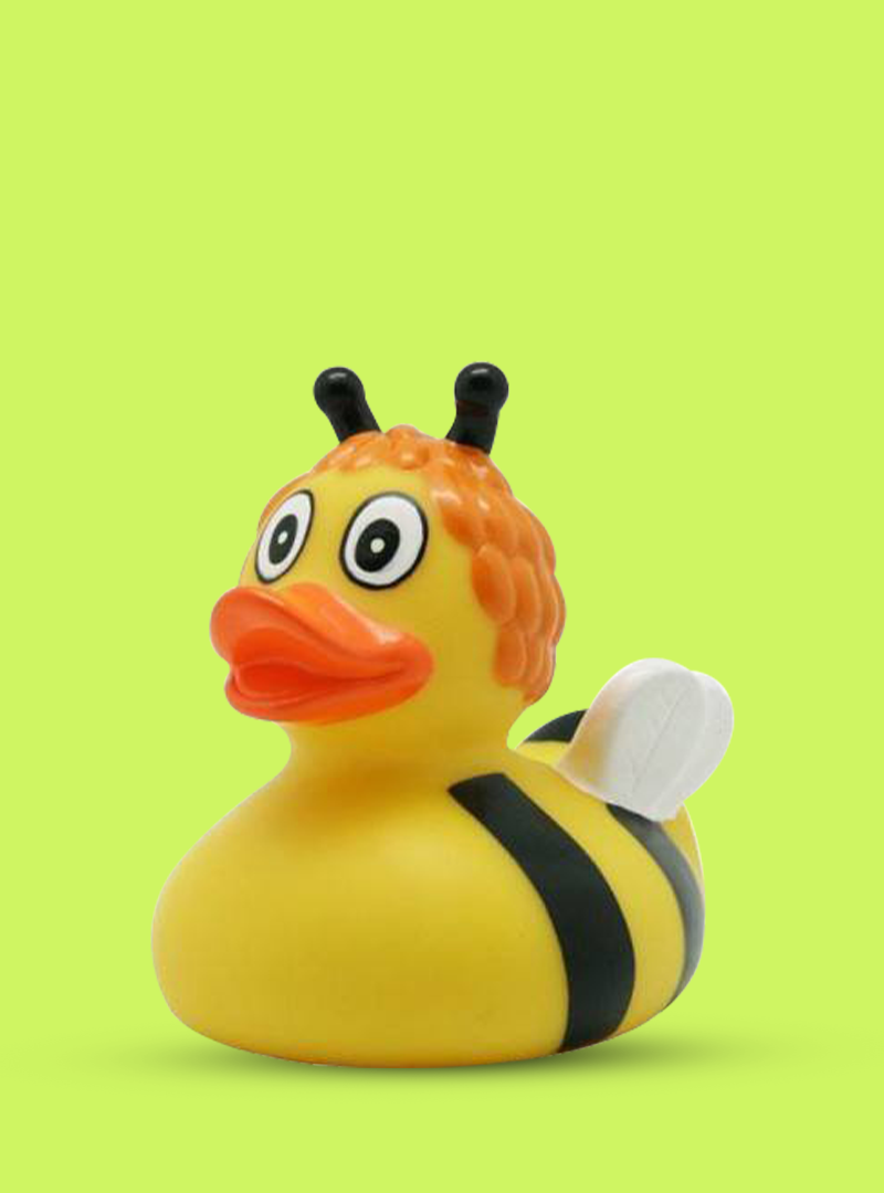 Animal Ducks – Killarney Duck Store
