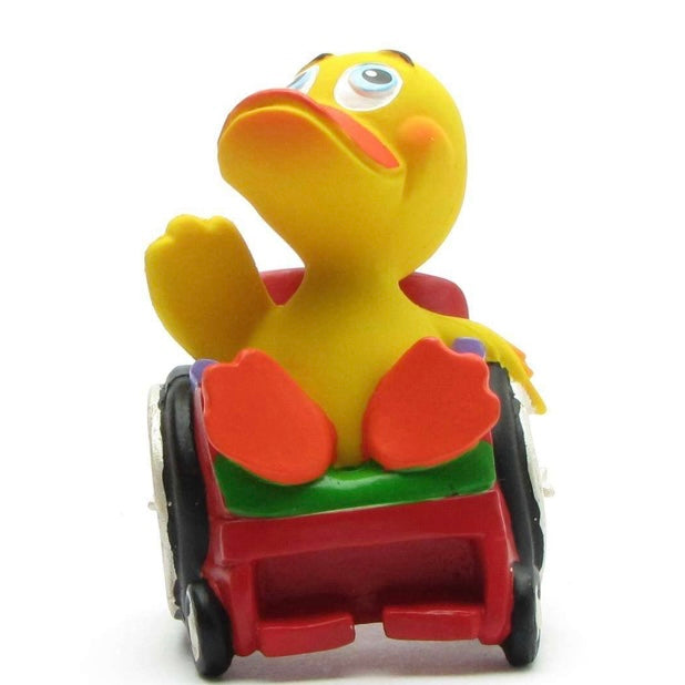 Wheelchair Rubber Duck – Killarney Duck Store